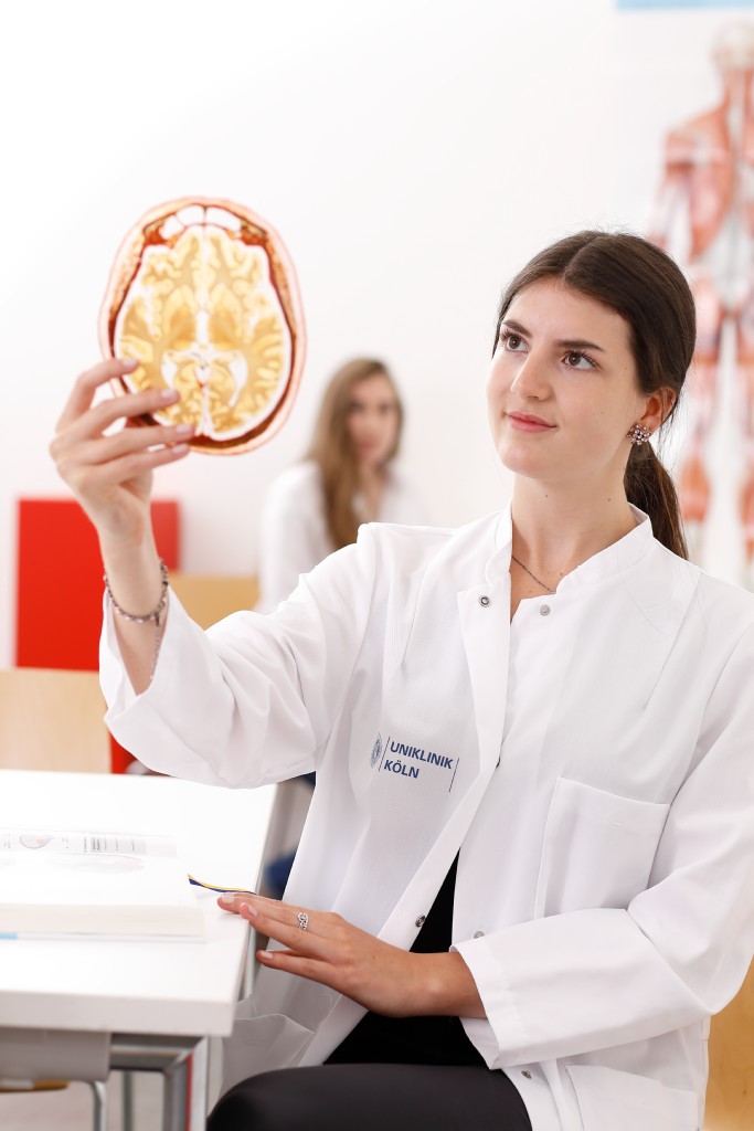 Neurowissenschaften, Bachelor of Science (B.Sc.)