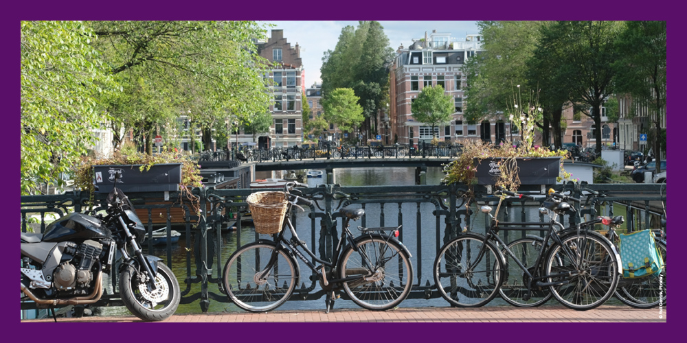 Dutch, Bachelor of Arts (B.A.), Teaching degree for vocational schools I
