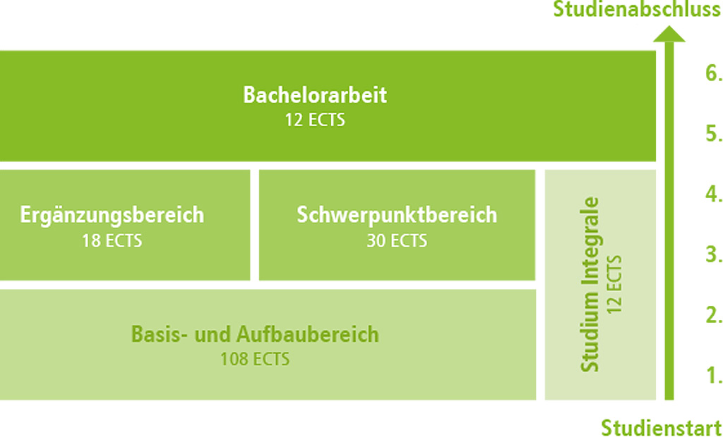 Betriebswirtschaftslehre Bachelor Of Science B Sc